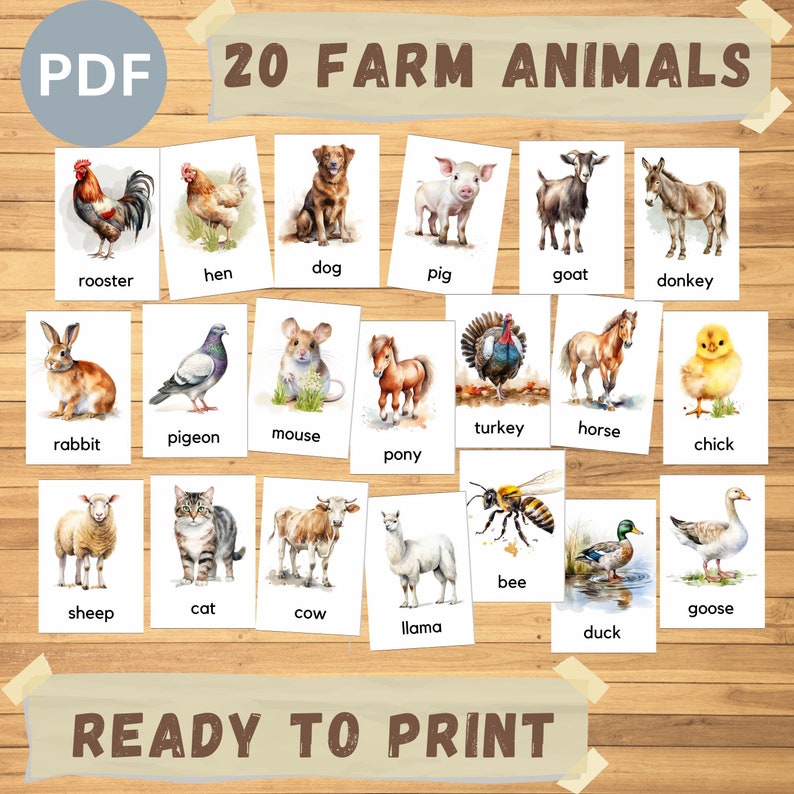 Watercolor Farm Animals Flashcard Bundle Montessori Flashcards 20 ...
