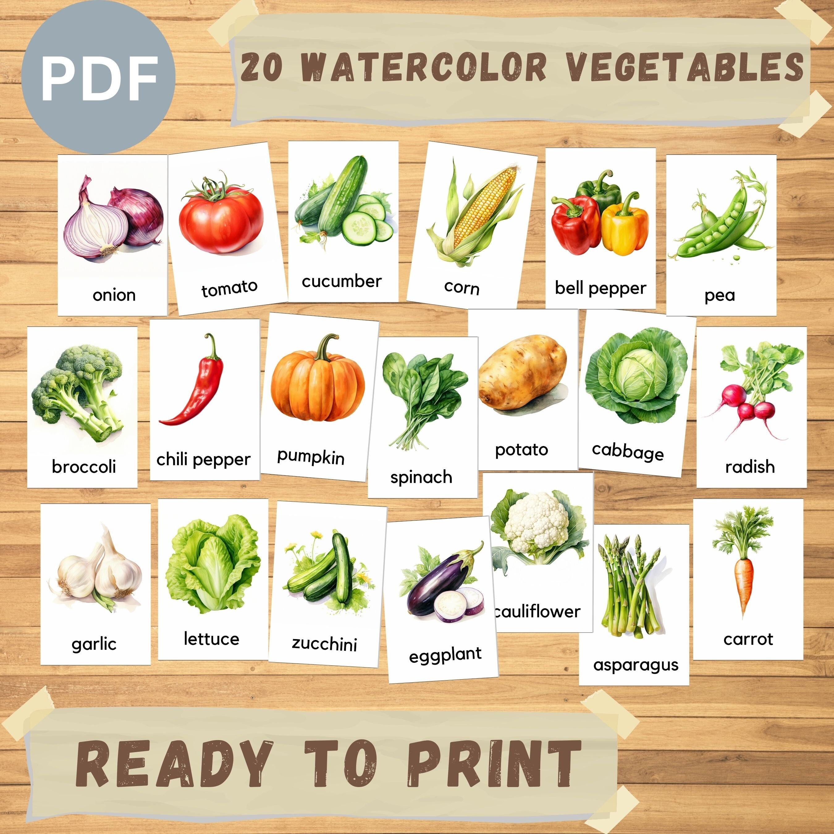 Vegetables List For Kids