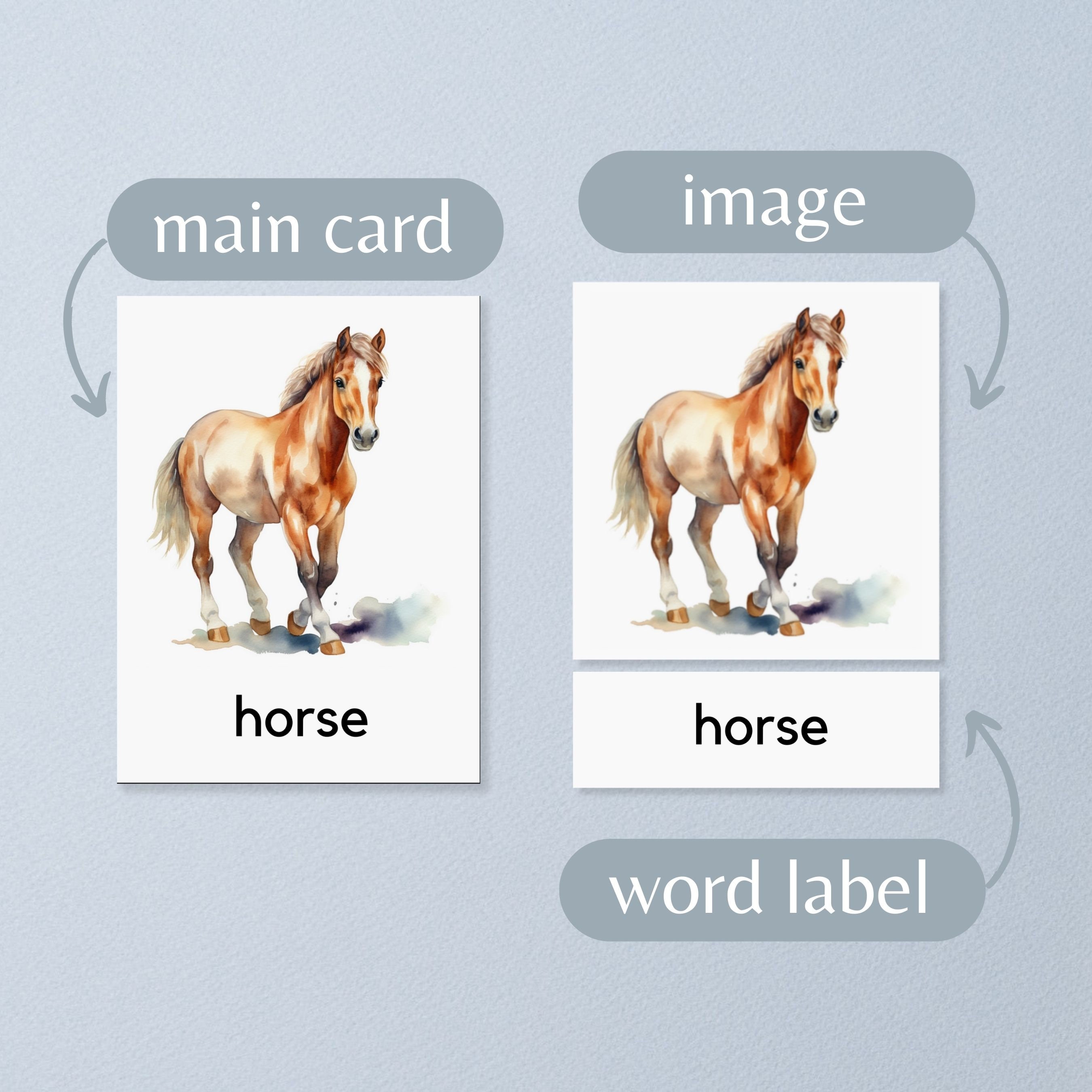 Watercolor Farm Animals Flashcard Bundle Montessori Flashcards 20 ...