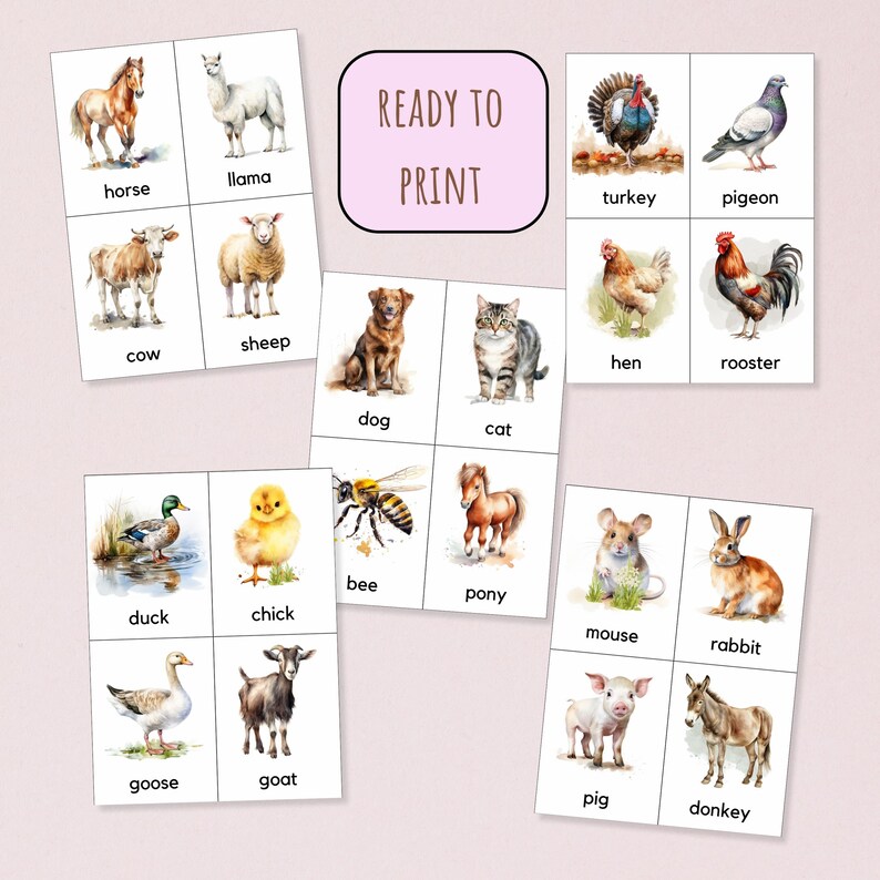 Watercolor Farm Animals Flashcard Bundle Montessori Flashcards 20 ...