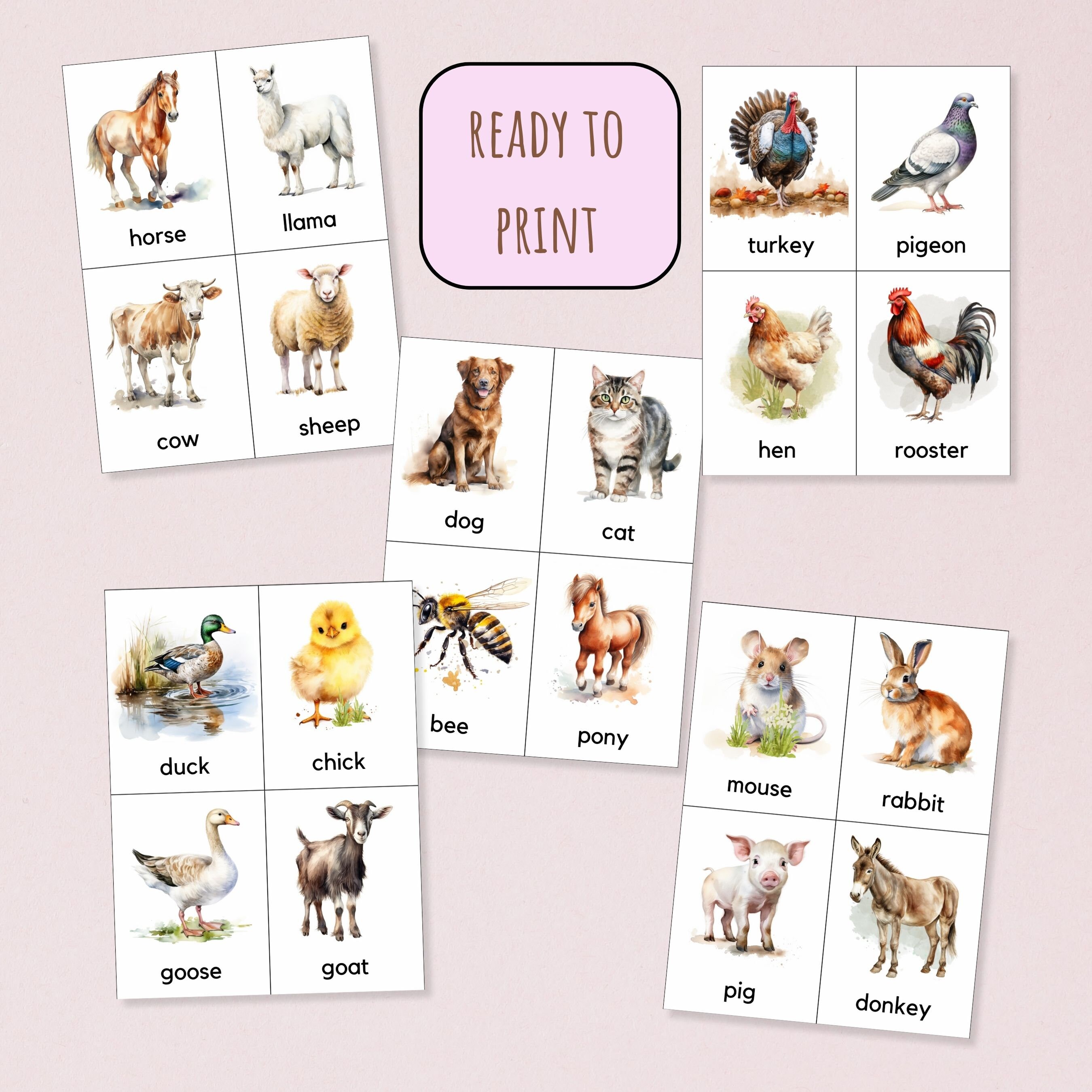 Watercolor Farm Animals Flashcard Bundle Montessori Flashcards 20 ...