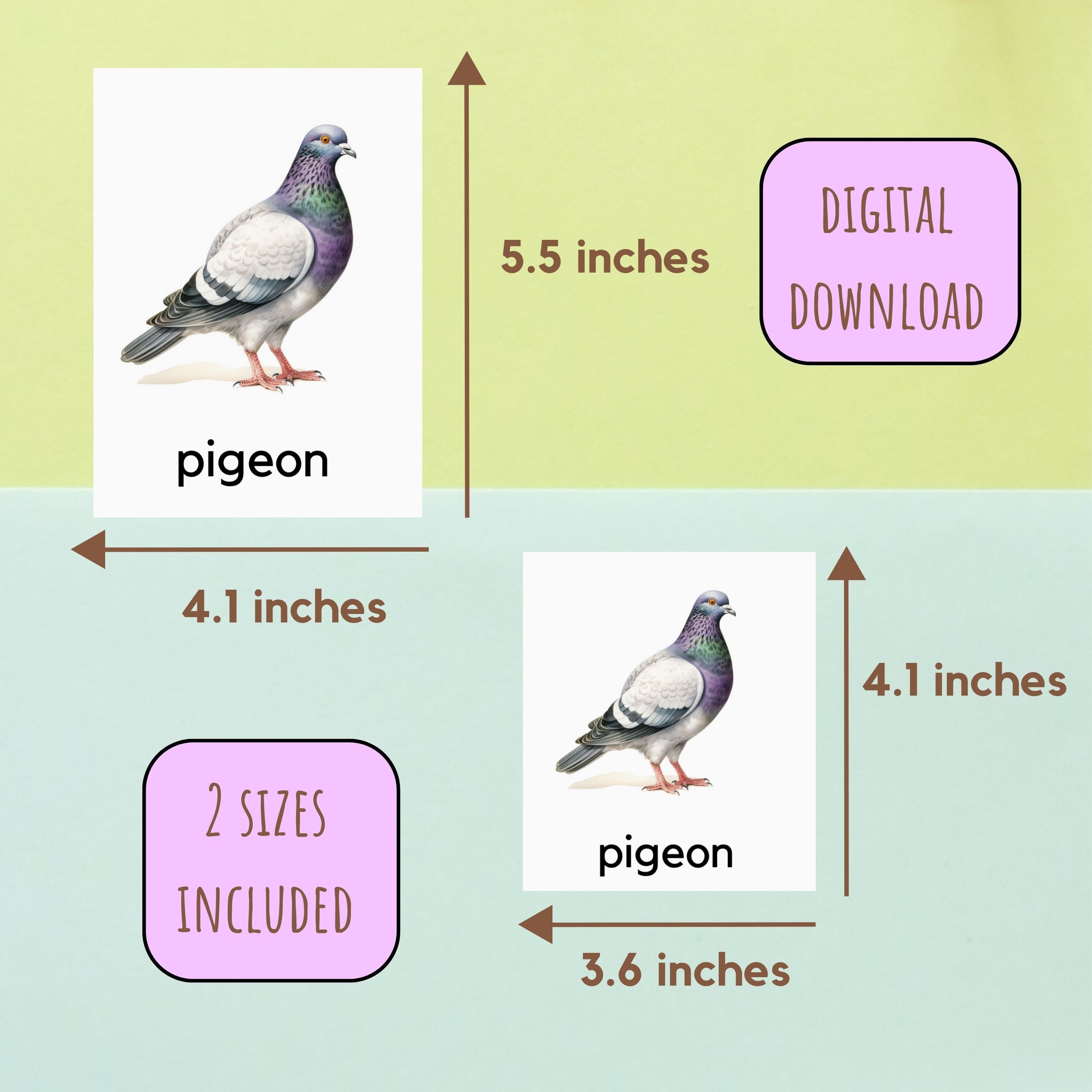 Watercolor Farm Animals Flashcard Bundle Montessori Flashcards 20 ...