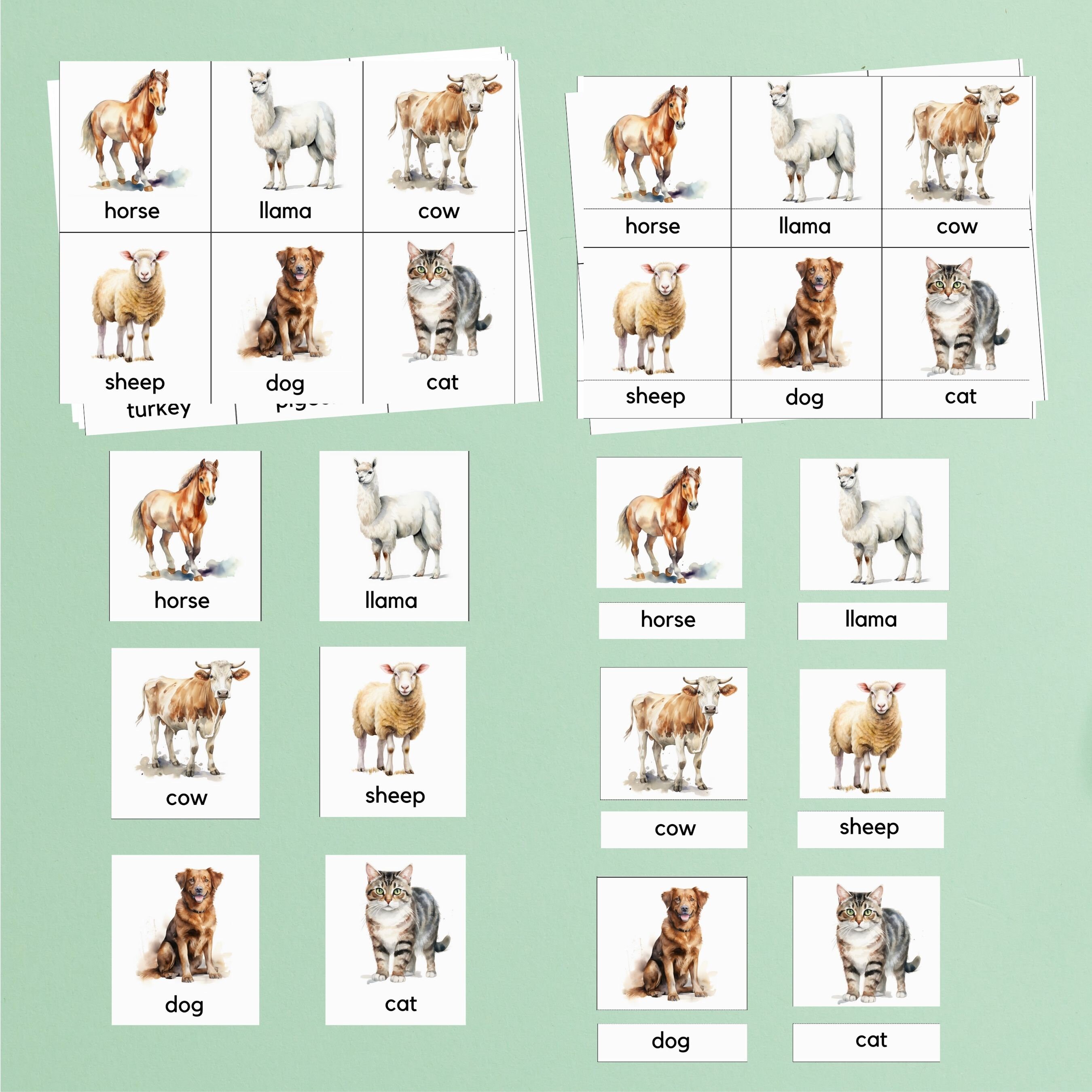 Watercolor Farm Animals Flashcard Bundle Montessori Flashcards 20 ...