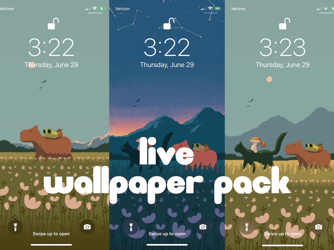 Capybara Cat Live Animated Digital Background HD GIF 3-pack - Etsy