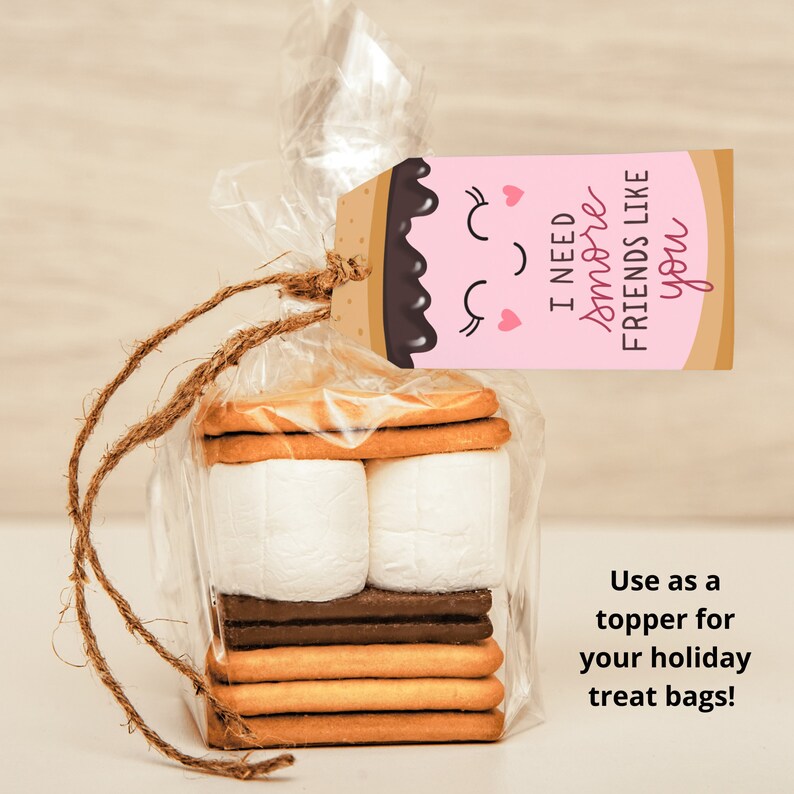 Pink Smores Printable Gift Tags, Valentines Day Instant Download, Class ...