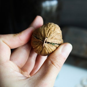 Walnut Shell Handmade Gift Box - Proposal Ring Box - Fairy Box ...