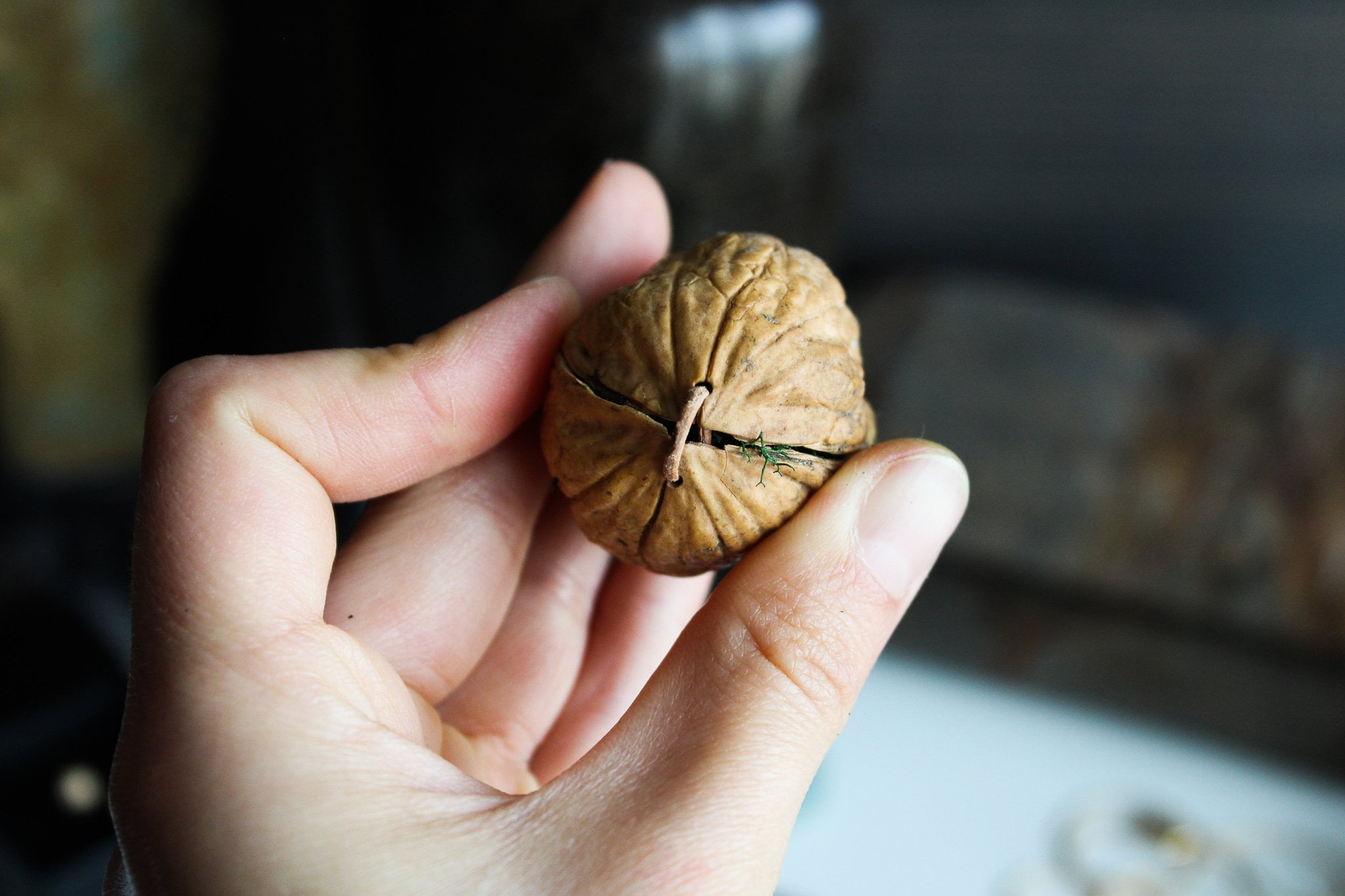 Walnut Shell Handmade Gift Box Proposal Ring Box Fairy Box - Etsy