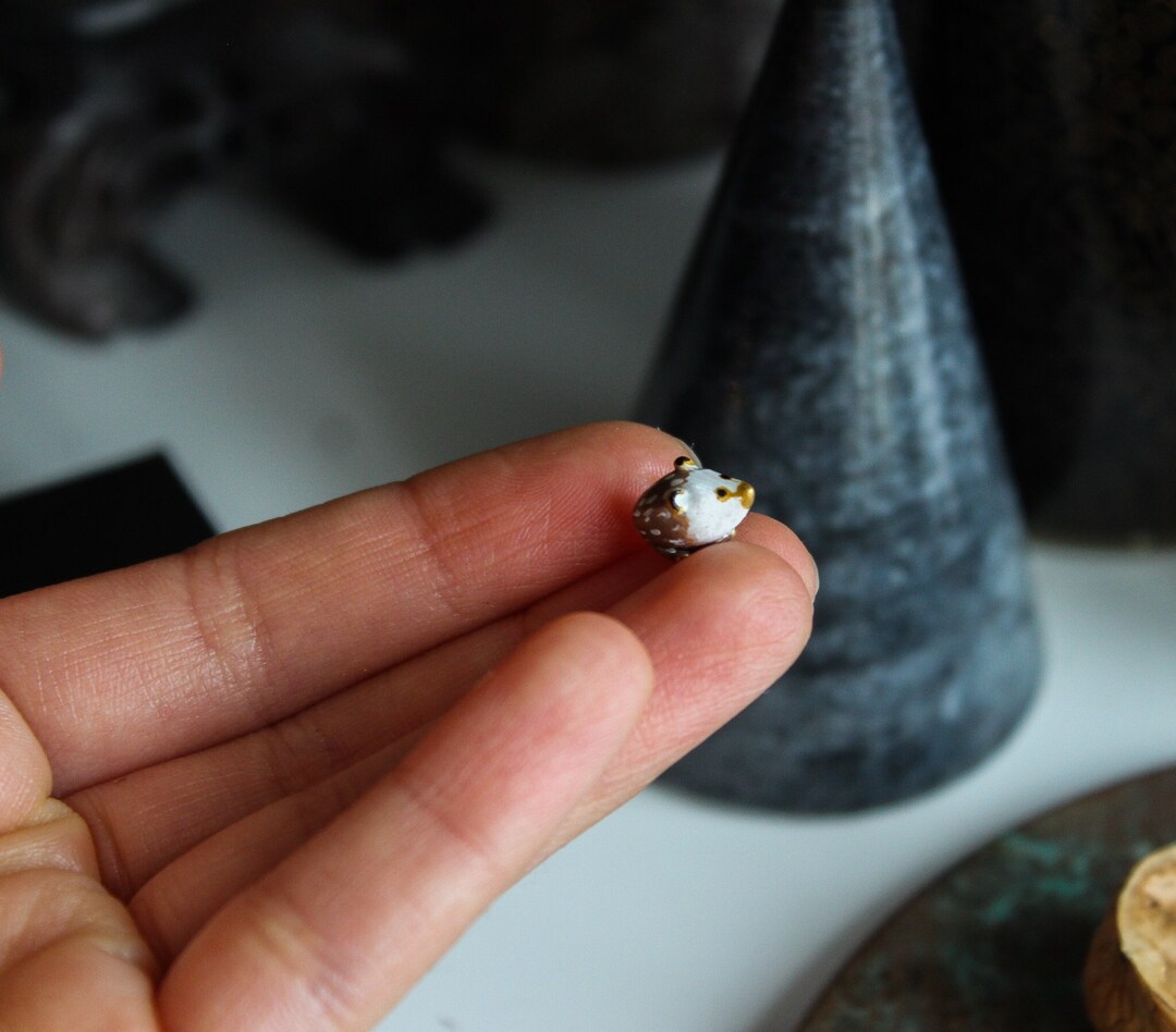 Tiny Hedgehog Figurine - Walnut Shell Gift Box Included - Hedgehog ...