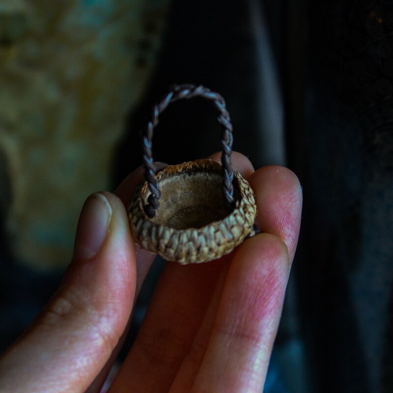 Miniature Acorns - Etsy