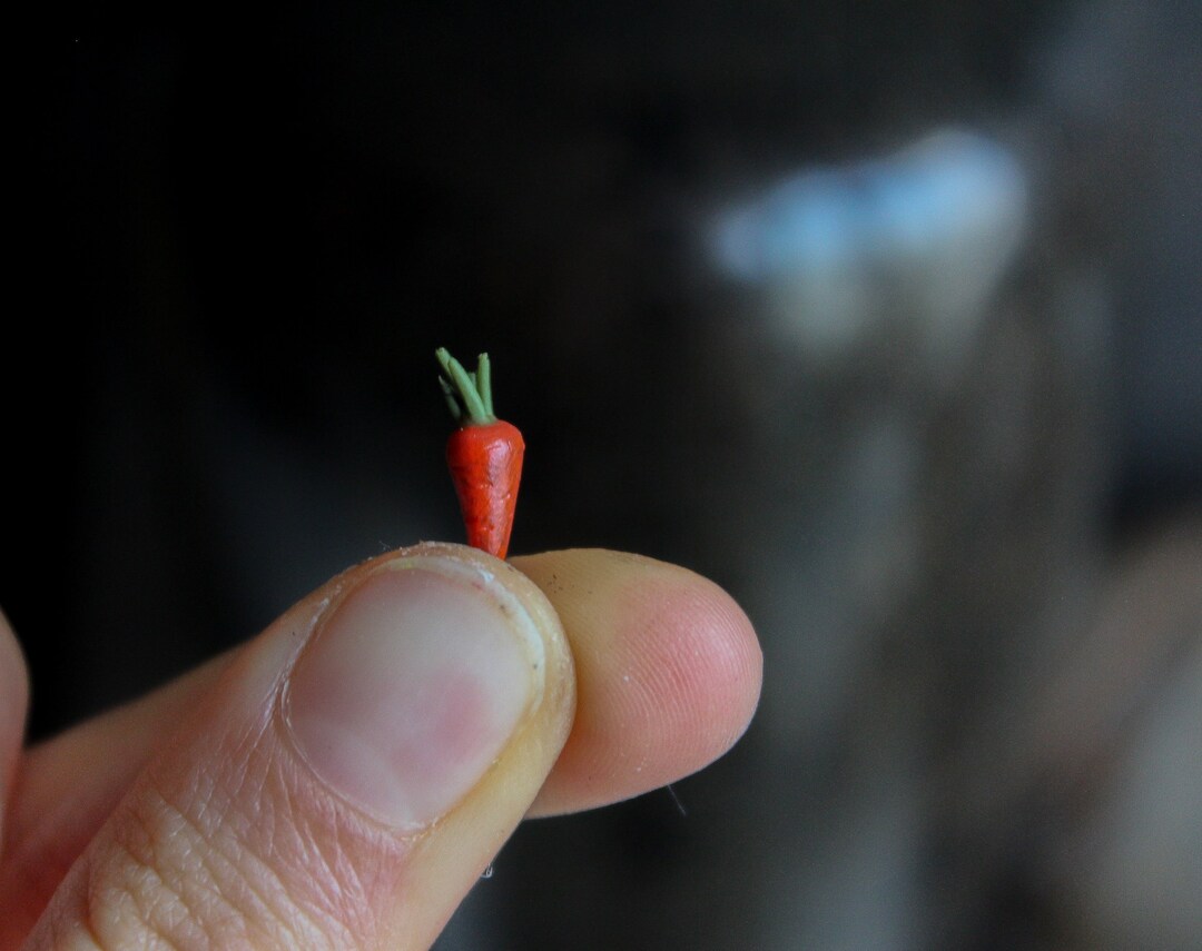 Miniature Tiny Carrot for Bunny - Fairy Garden Figurines - Fairy Doll Food - -miniature Veggies ...