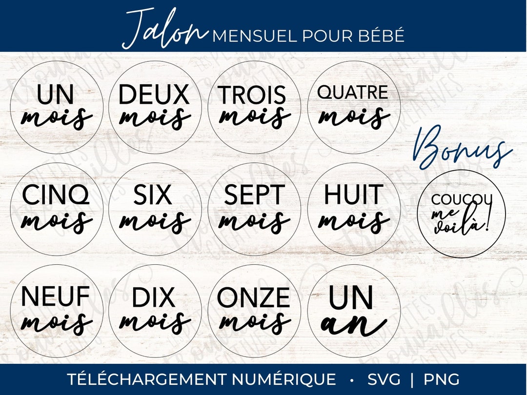 FRENCH - Baby Milestone Rounds SVG, Monthly Milestone, Rounds Baby ...