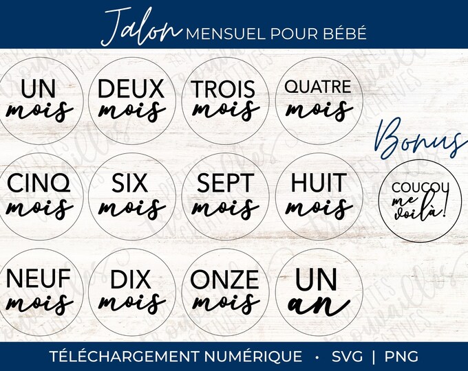 FRENCH - Baby Milestone Rounds SVG, Monthly Milestone, Rounds Baby ...