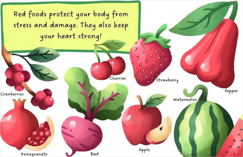 Eat the Rainbow Flashcards for Kids Nutrition Education - Etsy