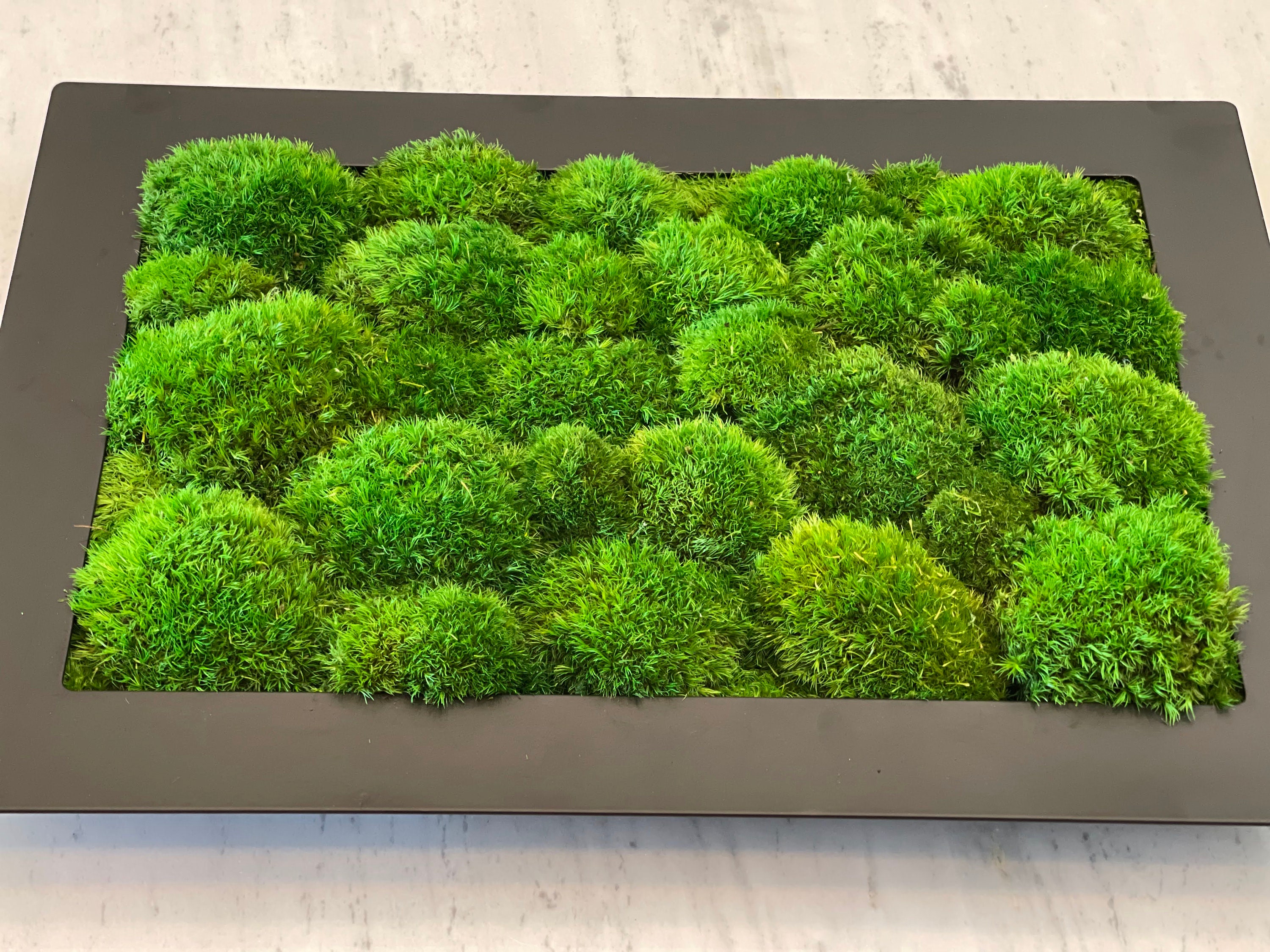 Moss Centerpiece - Etsy
