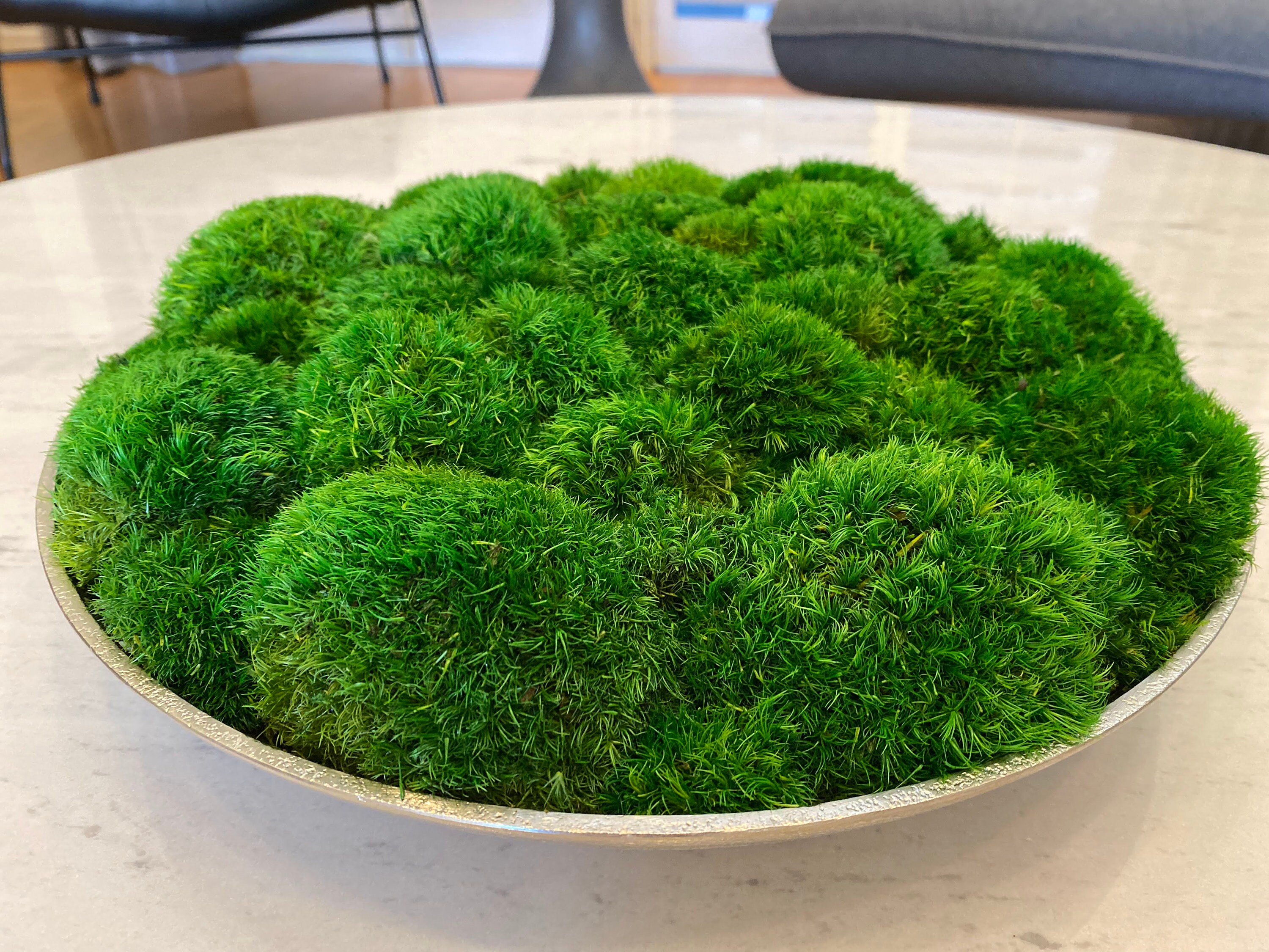 Moss Tray - Etsy
