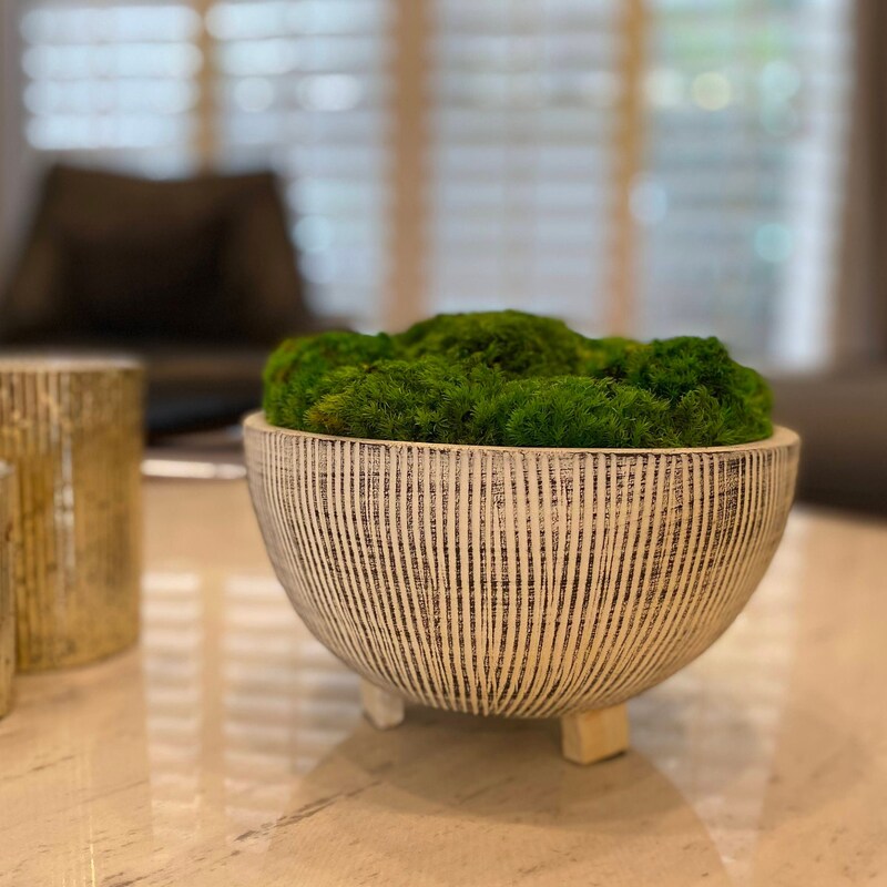 Moss Arrangement - Etsy