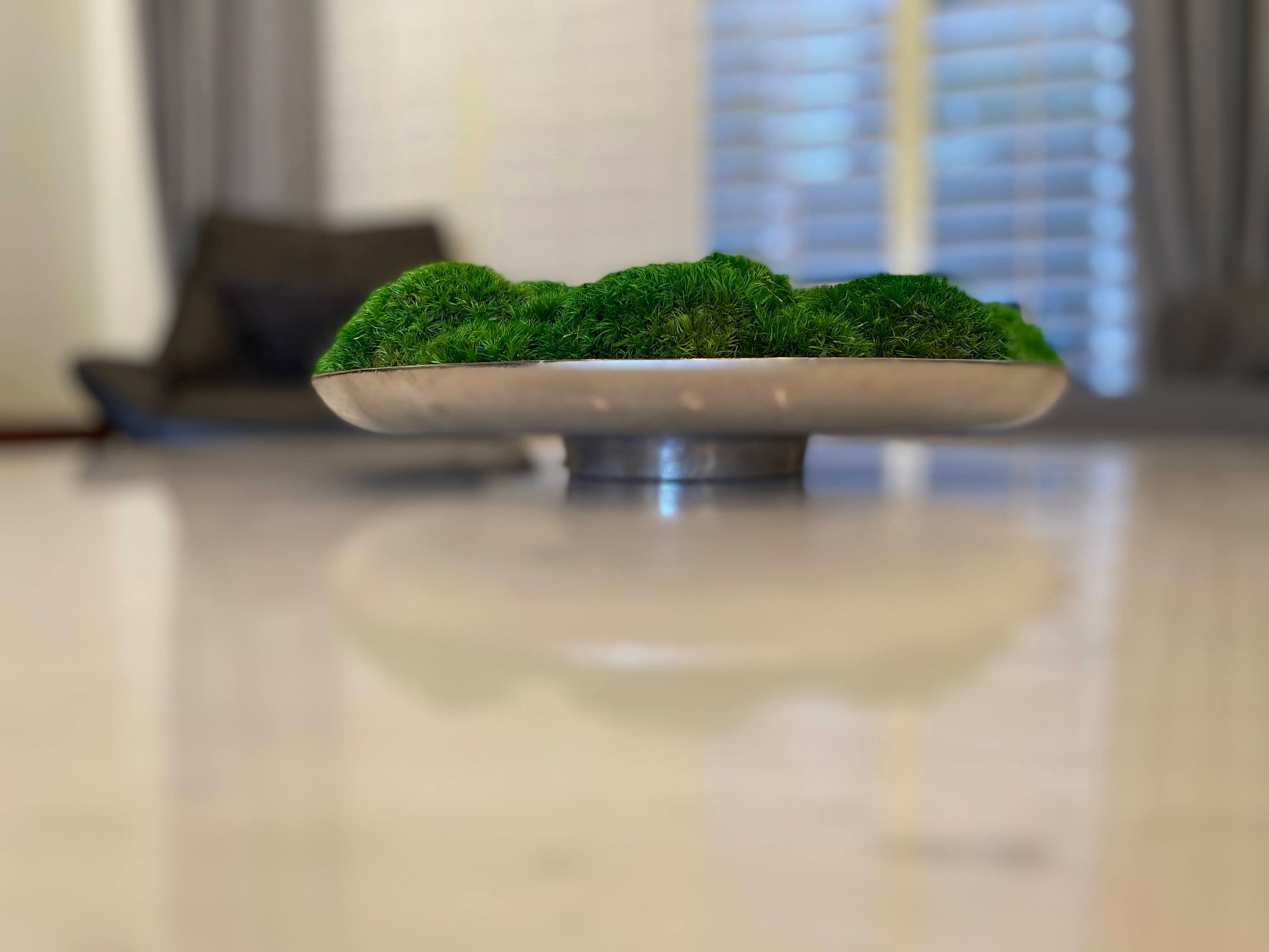 Moss Tray - Etsy