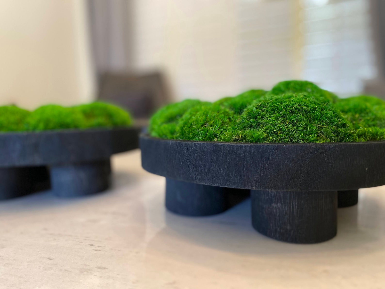Moss Bowl Arrangement-emerald Green Color-hand Carved Wooden Bowl ...