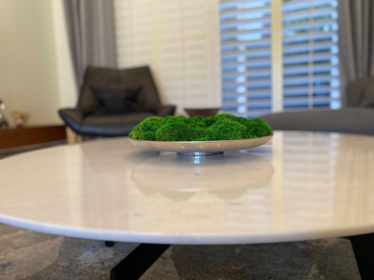 Moss Tray - Etsy