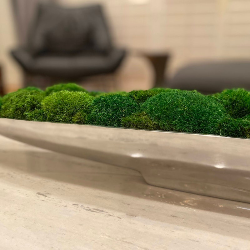 Moss Table Decor - Etsy