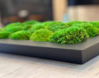 X-tra Large Moss Centerpiece for Table Moss Bowl Arrangement for Coffee ...