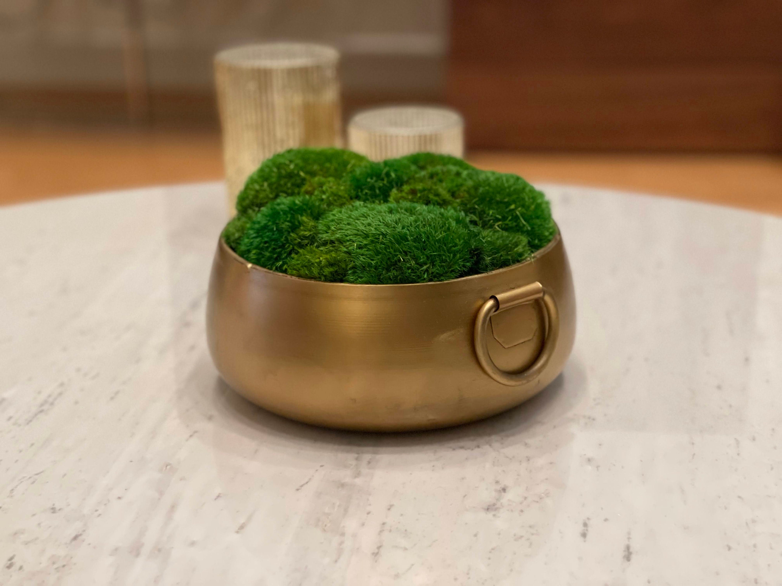Moss Bowl, Moss Centerpiece, Moss, Moss Decor, Moss Golden, - Etsy