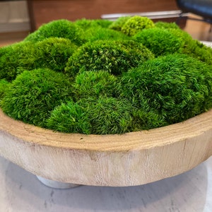 Moss Bowl Arrangement-emerald Green Color-hand Carved Wooden Bowl ...