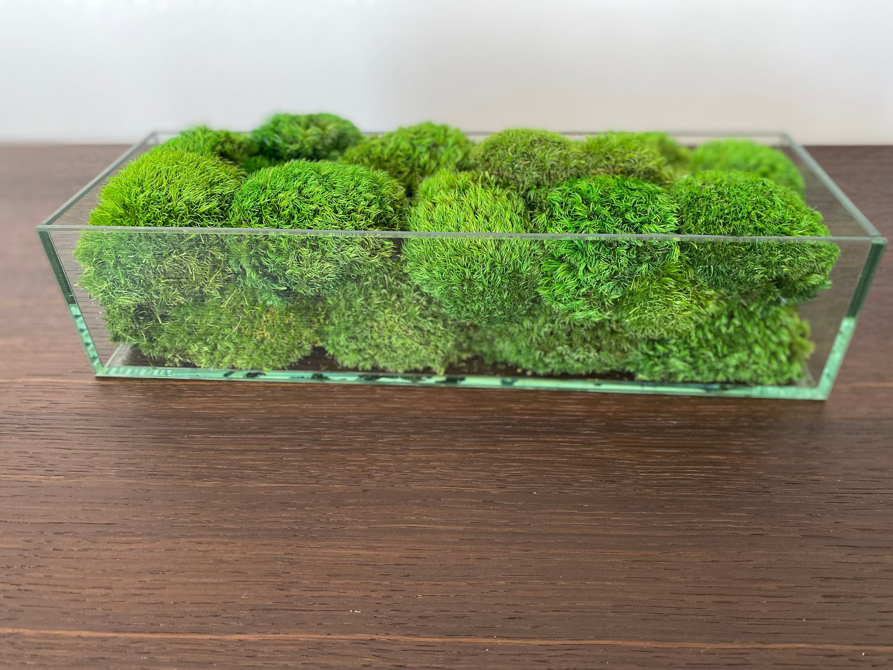 Preserved Moss in A Clear Vase - Etsy