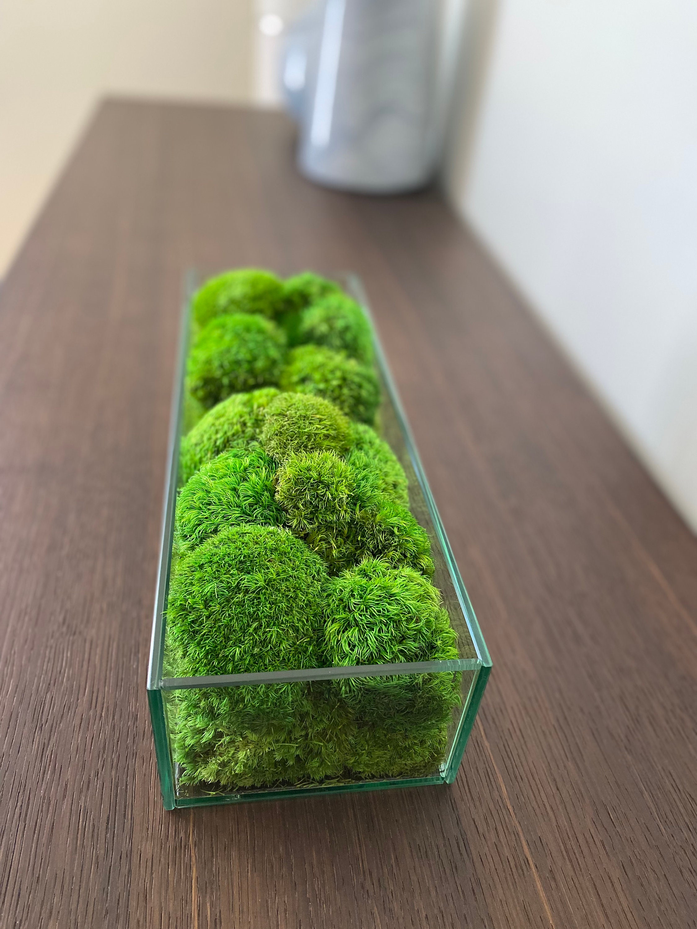 Preserved Moss in A Clear Vase - Etsy