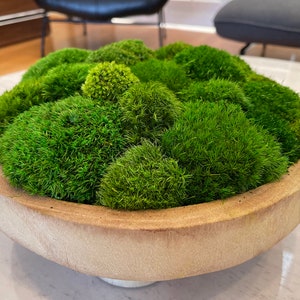 Moss Bowl Arrangement-emerald Green Color-hand Carved Wooden Bowl ...