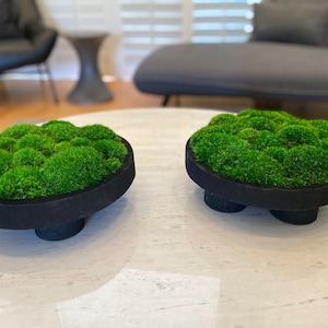 Moss Bowl Arrangement-emerald Green Color-hand Carved Wooden Bowl ...