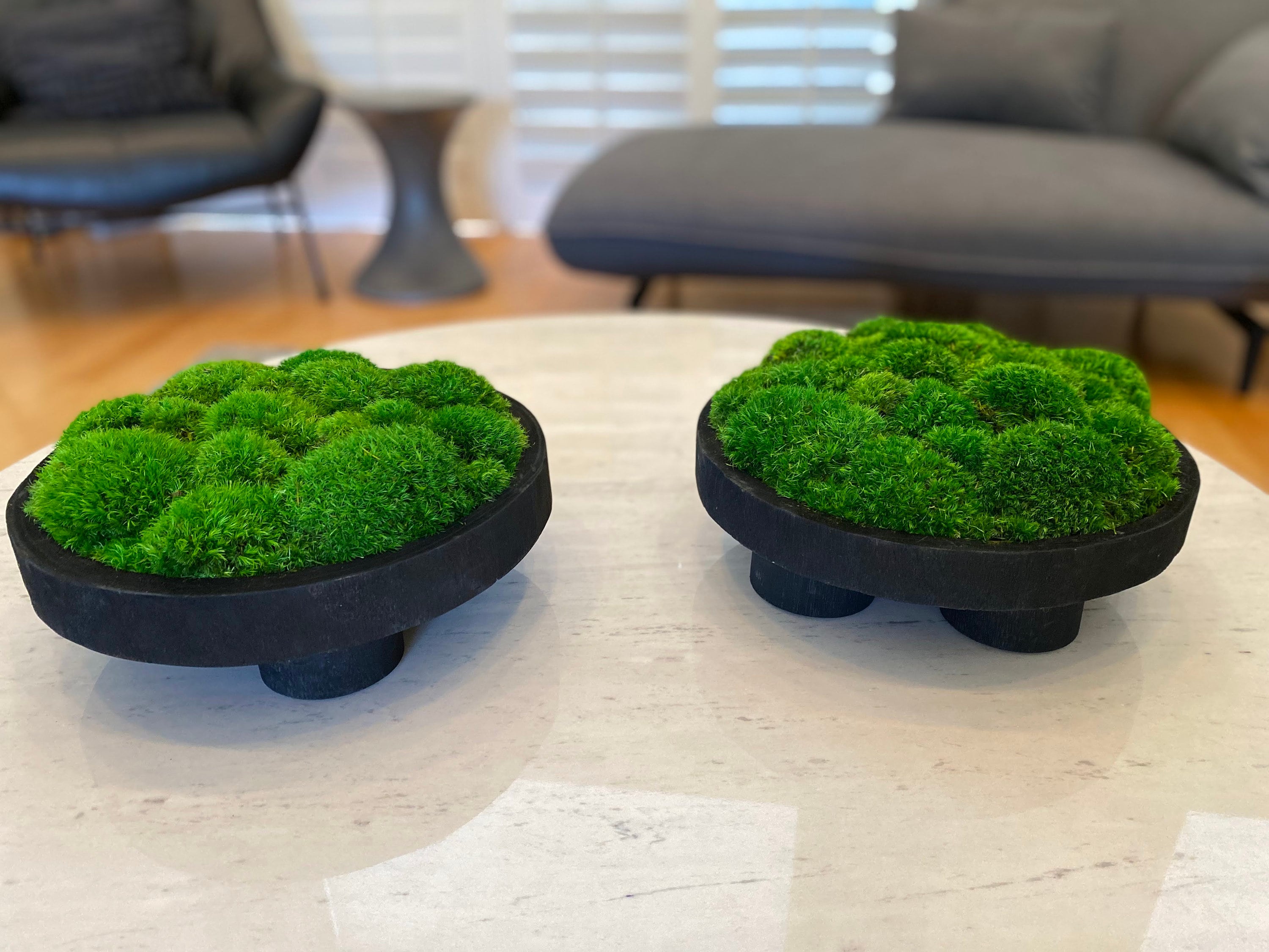 Moss Bowl Arrangement-emerald Green Color-hand Carved Wooden Bowl ...