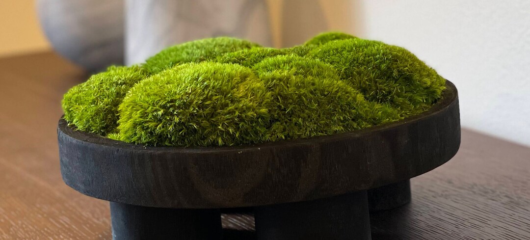 Moss Bowl Arrangement-emerald Green Color-hand Carved Wooden Bowl ...