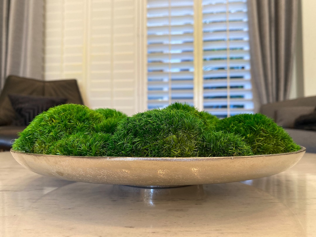 Moss Tray - Etsy