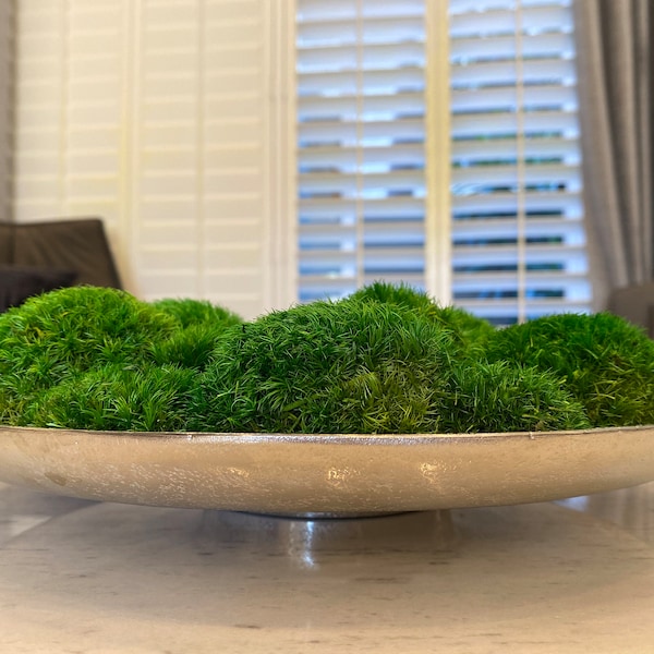 Moss Tray - Etsy