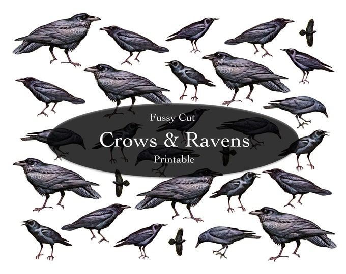Crow Ephemera, Raven Clipart, Embroidered Crow Cutouts, Fussy Cuts Pack ...
