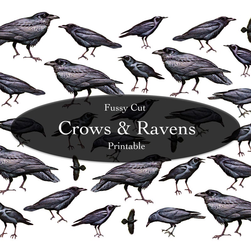 Raven Bird Art - Etsy