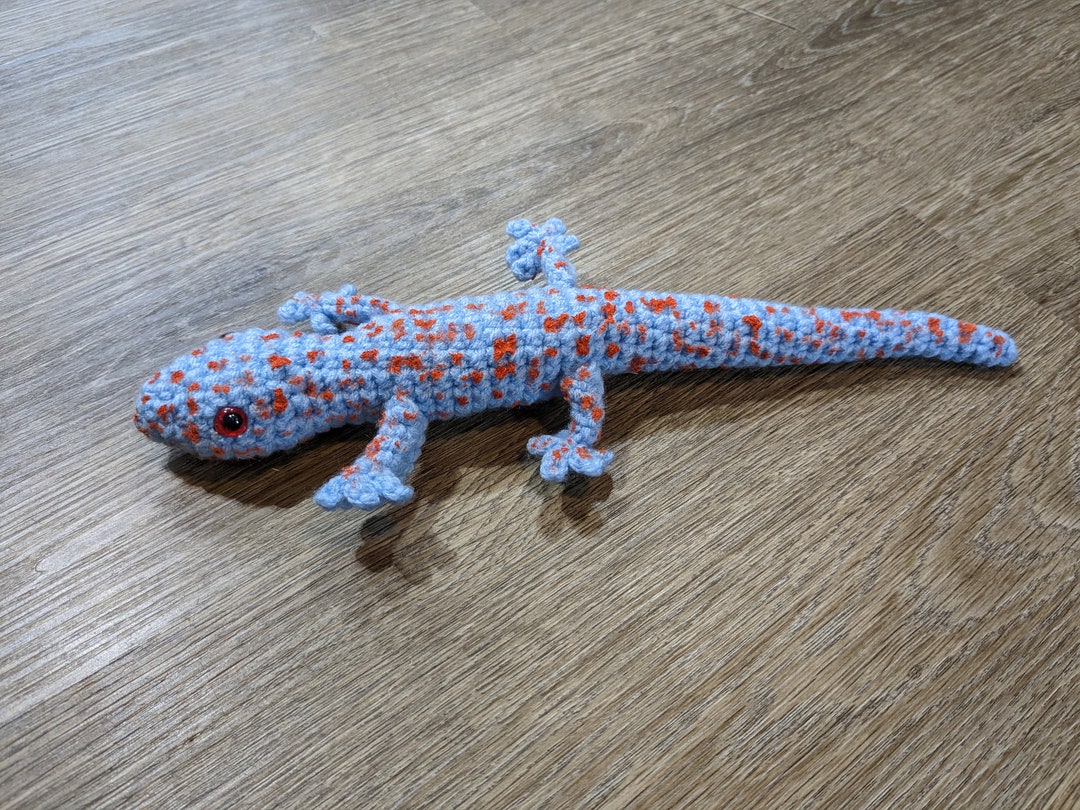 Tokay Gecko Price 2022