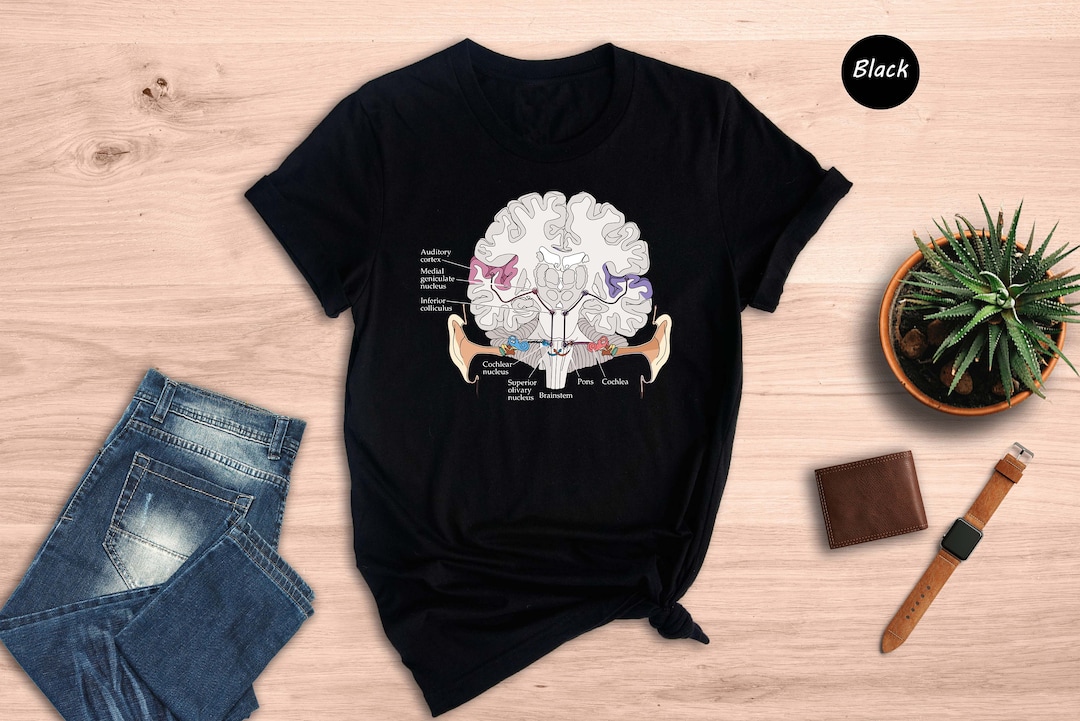 Auditory Pathway Shirt, Anatomical Brain Shirt, Anatomy Shirts, Nursing ...