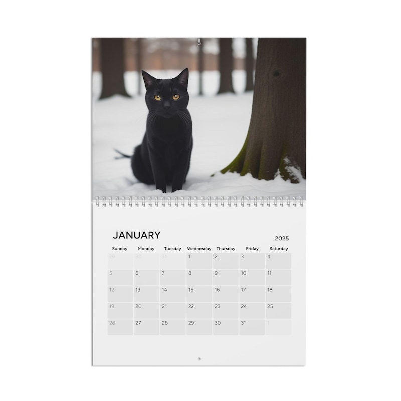 Cat Calendar - Etsy