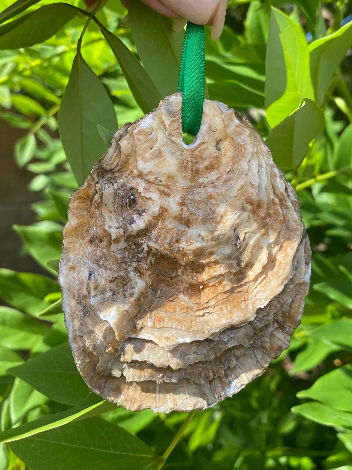 Sandy Nook Recycled Oyster Shell Ornaments - Etsy