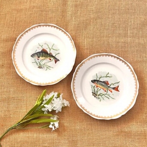 Set of 2 French Limoges Fish Plates Porcelain Made in France Decorative ...