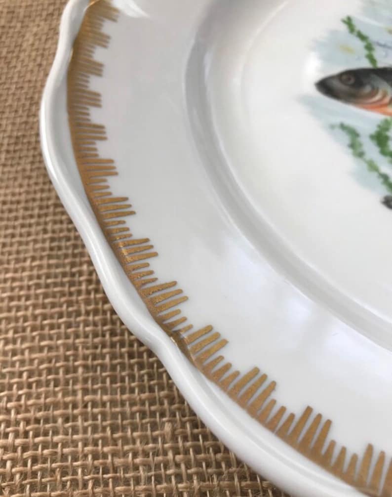 Set of 2 French Limoges Fish Plates Porcelain Made in France - Etsy