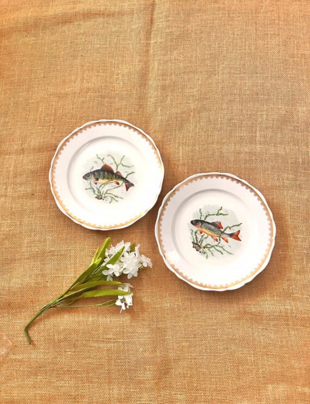 Set of 2 French Limoges Fish Plates Porcelain Made in France Decorative ...