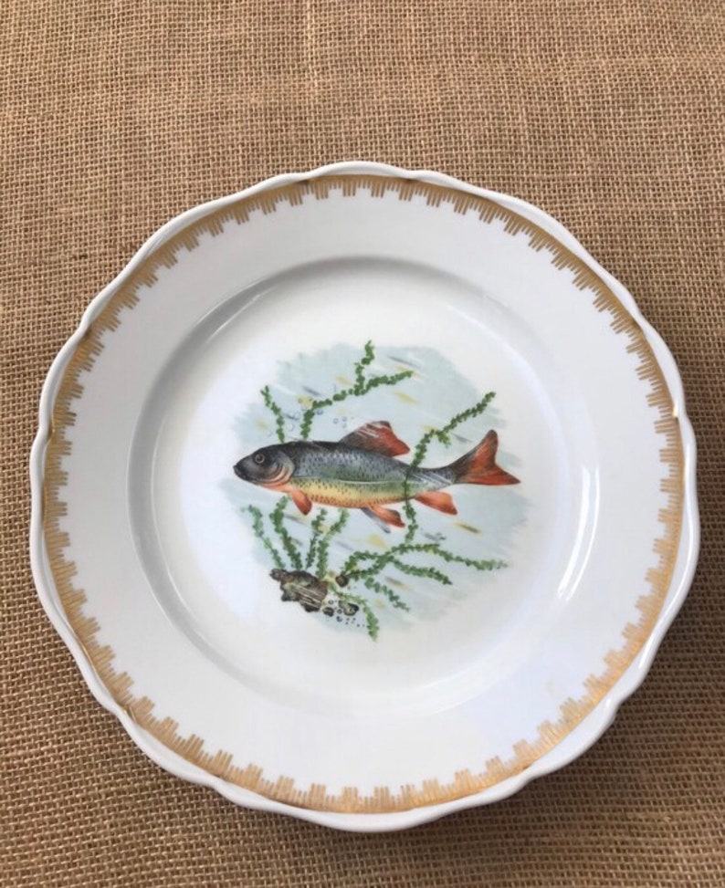 Set of 2 French Limoges Fish Plates Porcelain Made in France Decorative ...