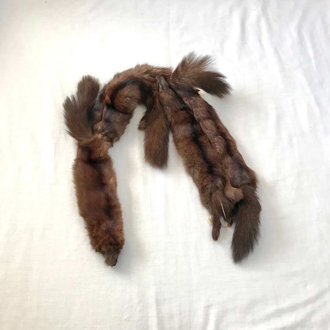 Vintage 5 Pelt Mink Stole Brown Real Authentic With Heads Tails Feet ...