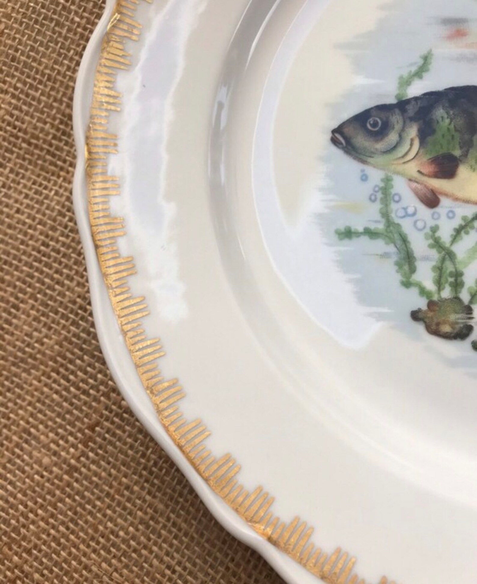 Set of 2 French Limoges Fish Plates Porcelain Made in France - Etsy