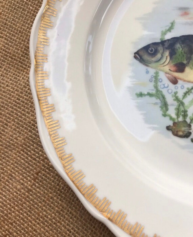 Set of 2 French Limoges Fish Plates Porcelain Made in France - Etsy