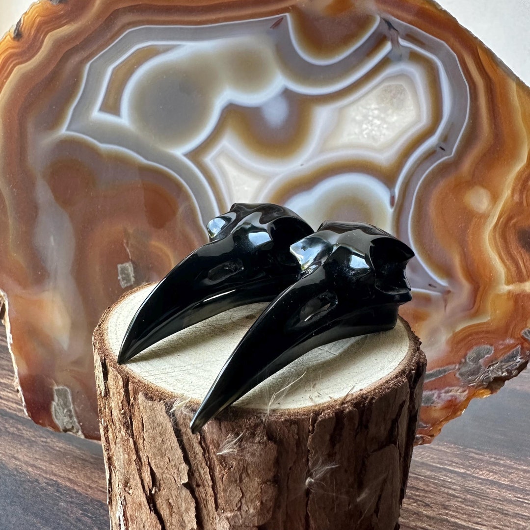 2.5 Obsidian Raven Skulls Halloween Crystals Black Crystal Ravens Home ...