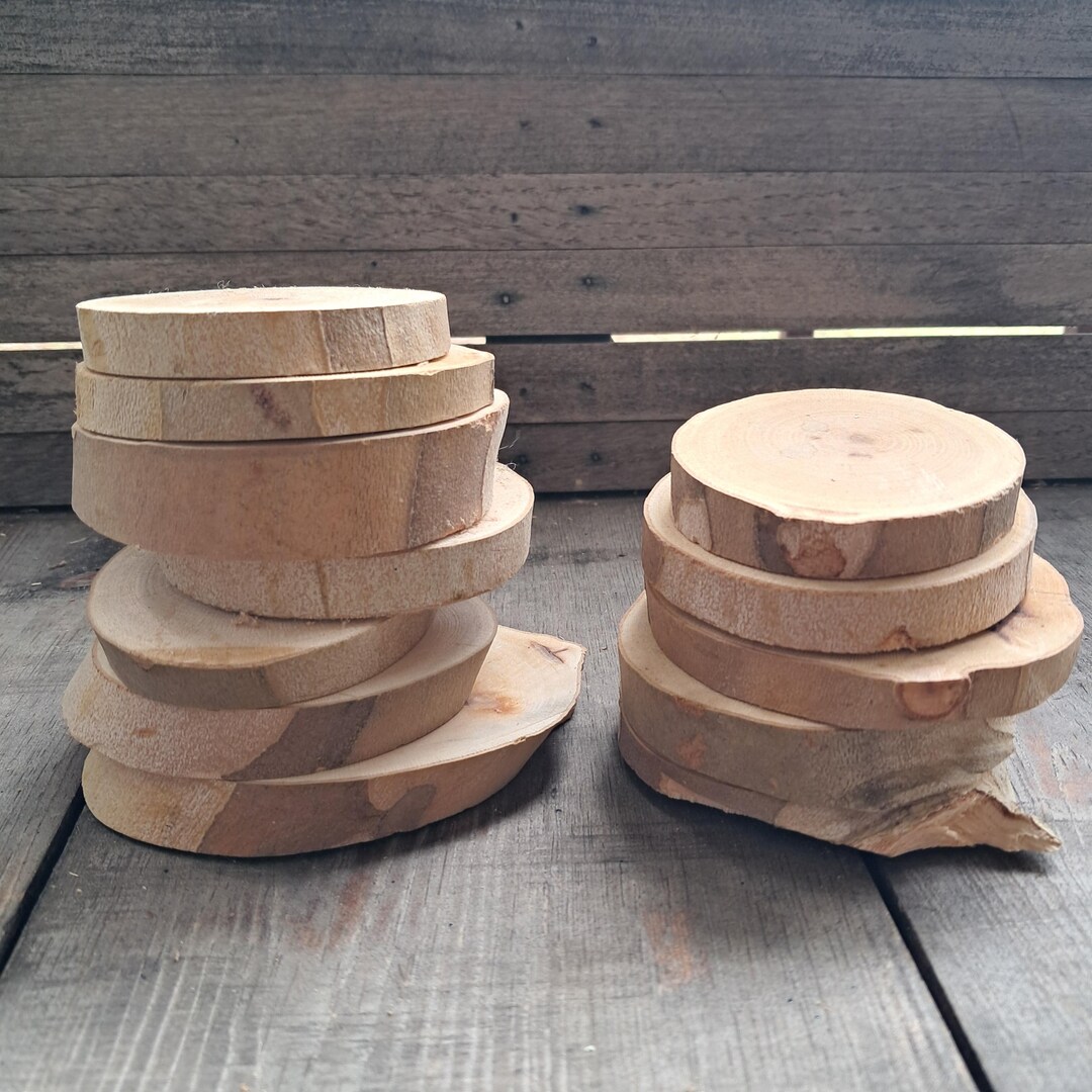 3 Inch Wood Rounds for Arts and Crafts, Wood Round Blanks, Great for ...